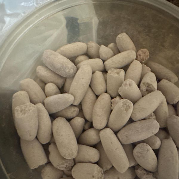 Natural Chewing Sponge,taakotsa,sawie From Ghana (100g) - Etsy