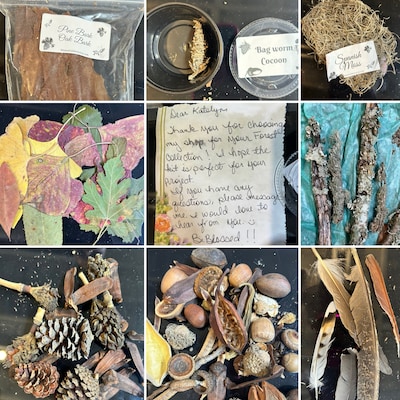 Lg Forest Findings Collection, Dried Forest Decor, Photography Props - Etsy