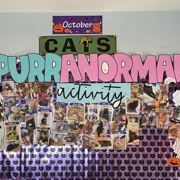 Boo Crew Bulletin Board Cute Halloween Bulletin Board Pastel Ghost ...