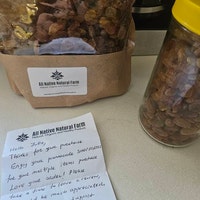 2 Lb ,fresh Green Plum , Greengage ,generik,janerik,seasonal Fruit ...