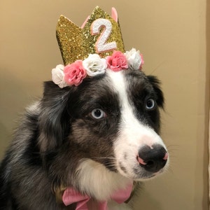 Custom Pet Birthday Crown Dog Crown Large Dog Birthday Party | Etsy