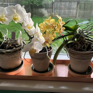 Solid Copper Kick Plate FREE SHIPPING - Etsy