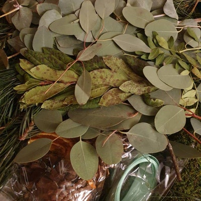 Snow Confetti Snowfetti® Biodegradable 100% Natural Water Soluble ...