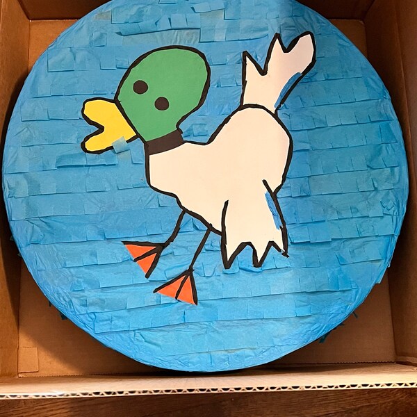 Spicy Bag of Chips Cheetos Custom Pinata 24 in L, 16 in W, 3.75 in Deep ...