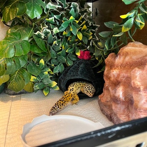 Reggie the Rhyming Raccoon Crocheted Plush From Drawing | Etsy