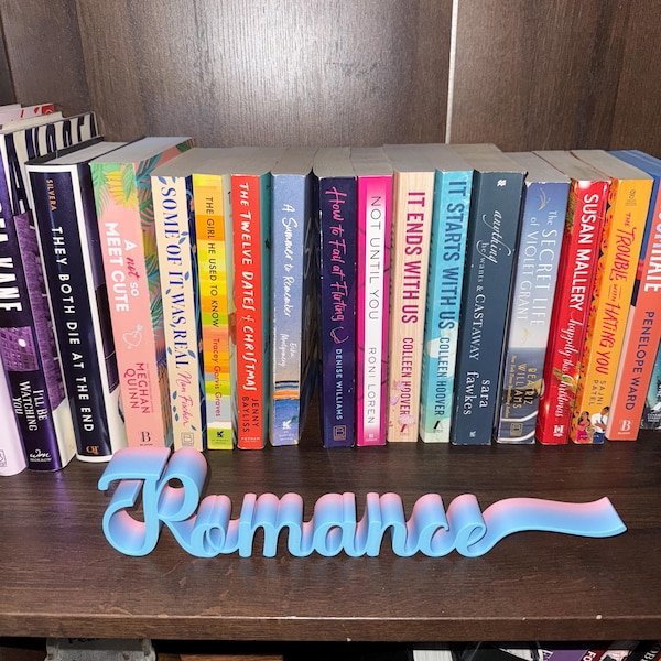 Romance Bookshelf Sign Library Book Lover Gift Custom Colors Book Club ...