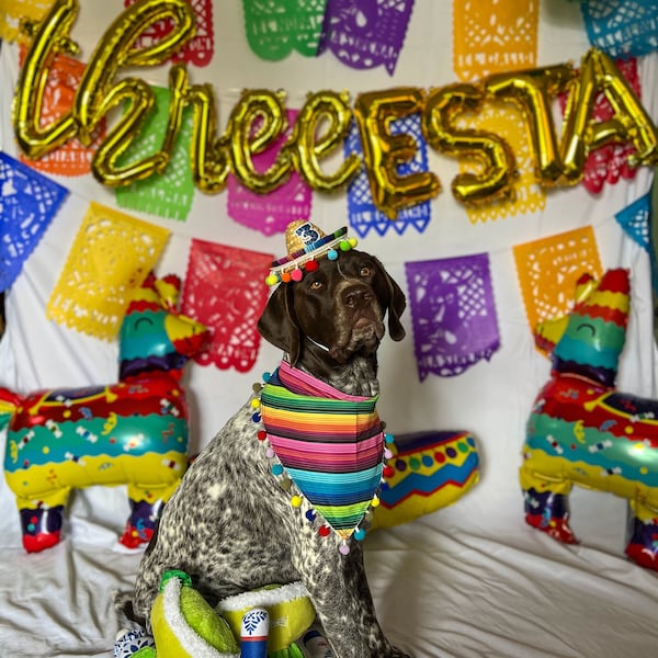 Three Esta Balloons Fiesta Third Birthday 3rd Fiesta Decorations 3 ...