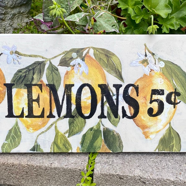 STENCIL, Lemons 5 Cents, 12"x3.5", Reusable Stencil, NOT A SIGN - Etsy
