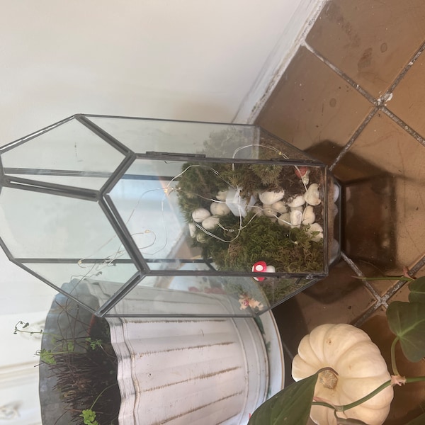 Bioactive Terrarium Kit With Live Moss With Terrarium Container ...