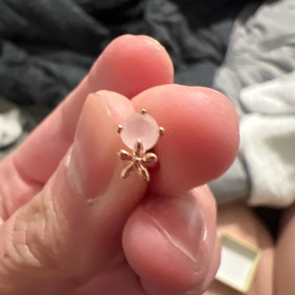 16G Tiny Shell Flower Stud Earring Helix Conch Cartilage Ear Studs ...