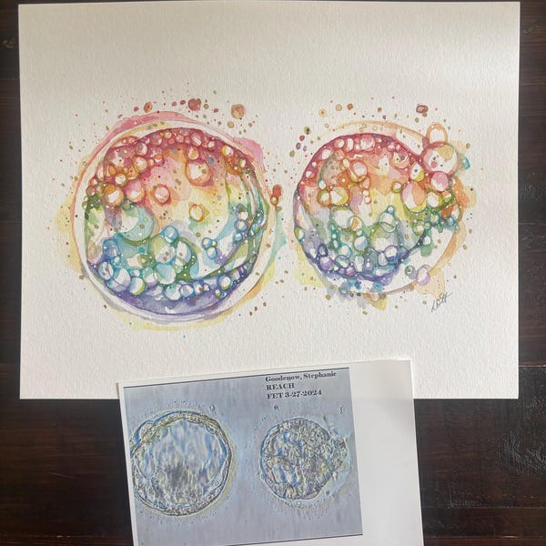 Custom Embryo Watercolor Painting: IVF Art, Multiple Embryos - Etsy