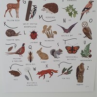 Woodland A-Z Print Woodland Poster Nursery Woodland Decor - Etsy UK
