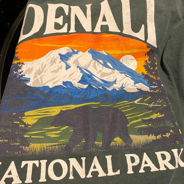 Denali National Park Shirt, Alaska Mountain Shirt, Explore Alaska ...
