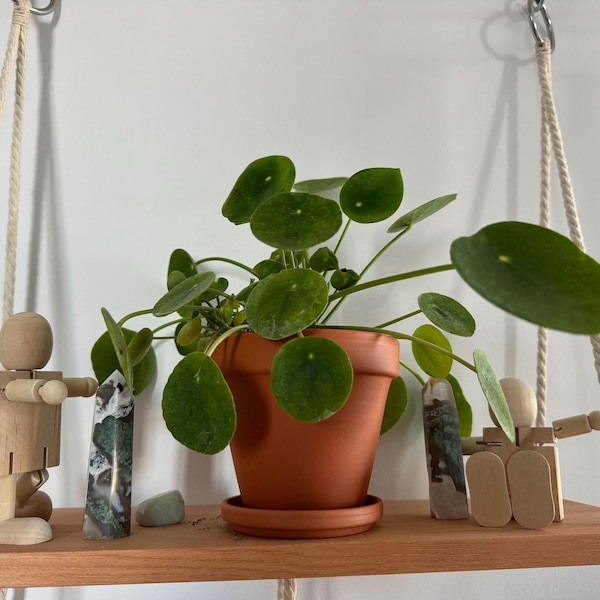 Large Gray Pot With Floral Design, Embossed Pot, 5 Pot, Flower Pot, 3D ...