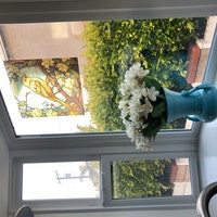 Blue Tang Stained Glass Window Cling Window Sticker Decal No Adhesive ...