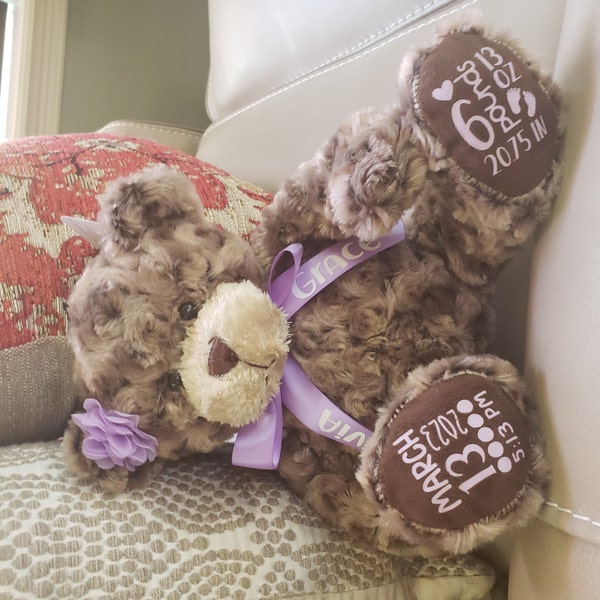 Teddy Bear Birth Stats Stuffed Animal, Personalized Plush Bear Birth ...