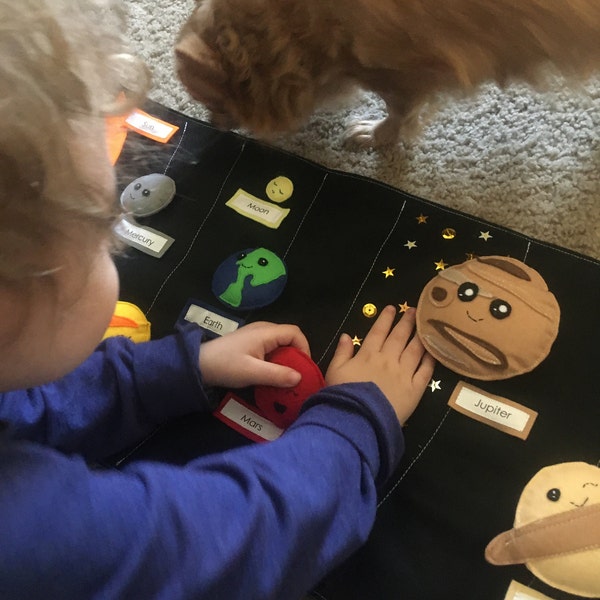 Ant Unit Lesson Printable, Parts of an Ant, Ant Anatomy, Types of Ant ...