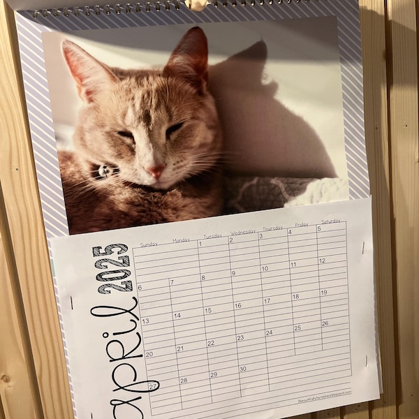 2025 Monday Start - Lined & Unlined Monthly Calendars | 8.5x11 ...