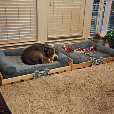 We All Have Different Abilities, Autism Awareness, Autistic, Fridge ...