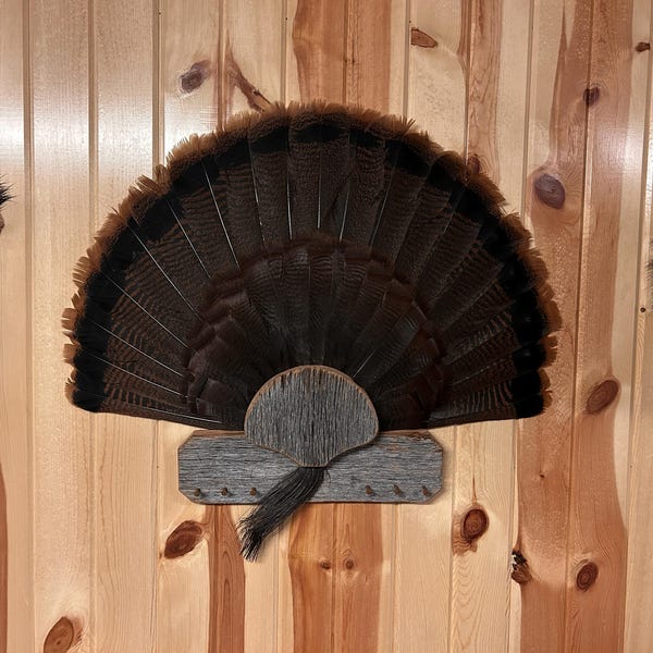 Barn Wood Multi Beard Turkey Fan/ Plaque - Etsy