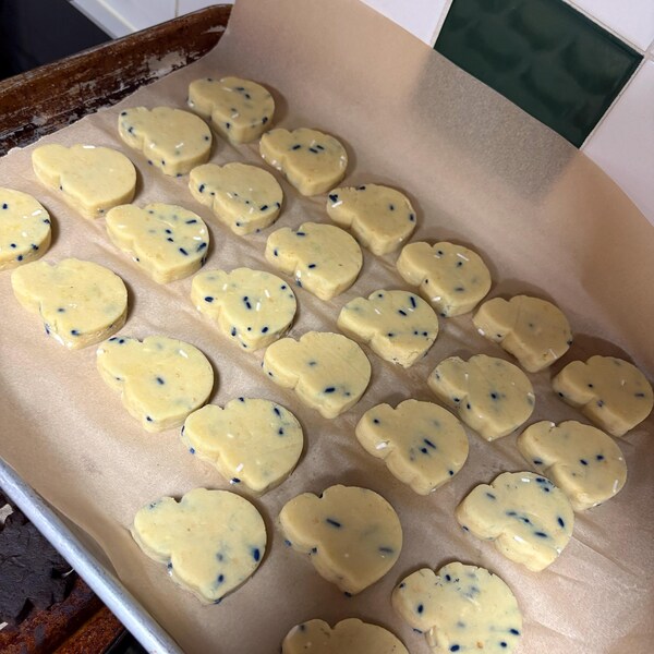 Birthday Number Sideways Cookie Cutter | Stamp | Stencil | Debosser Set ...