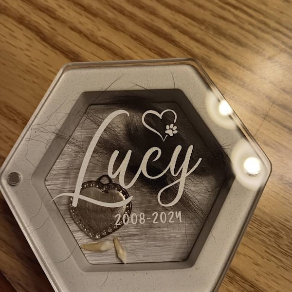 Dog Hair Keepsake Personalized Gypsum Clear Lid, Cat Memorial Custom ...