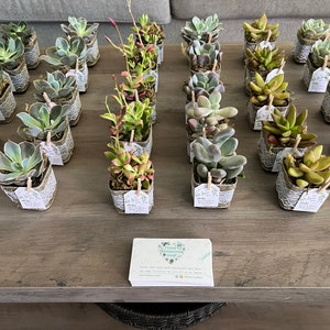 Congrats Gift Box for Her Way to Go Gift for Best Friend - Etsy