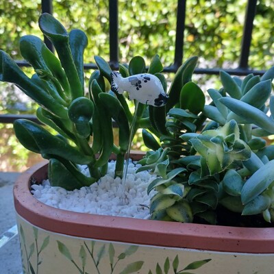 Handmade Plant Accessory/ Decor Ranchu Goldfish Plant Buddy - Etsy