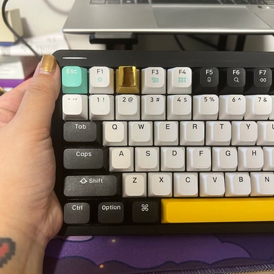 Cobra Snake Artisan Keycap Cherry MX Mechanical Gaming Keyboards - Etsy