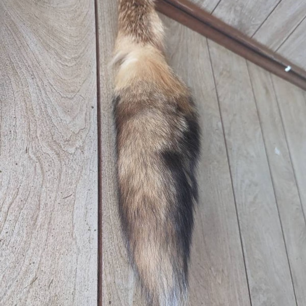 Choose Your Own, Real Fur Red Fox Tail Keychain With Swivel Clasp ...