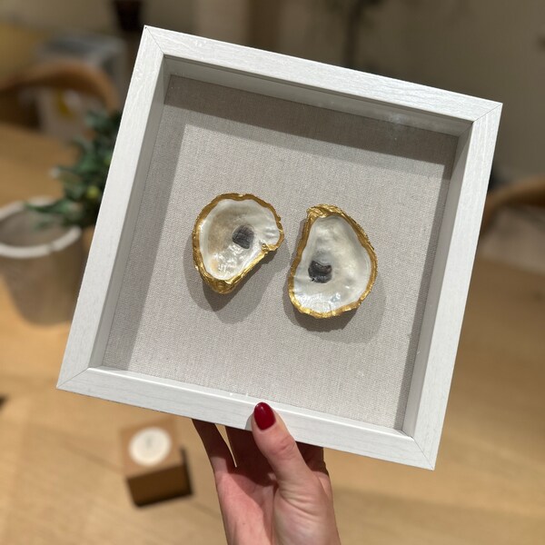 Oyster Shell Shadow Box (4 Oysters) - Etsy