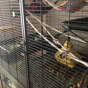 Small Pet Ladder for Cage Suitable for Rat Hamster Birds | Etsy