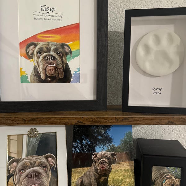 In Memory of Dog Portrait From Photo DIGITAL DOWNLOAD Pet Memorial Gift ...