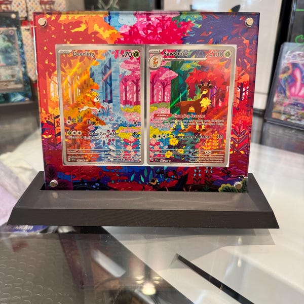 Zoro Manga Custom One Piece Display Case - Etsy