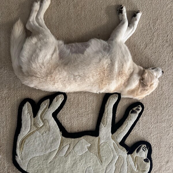 Personalized Pet Portrait Tufted Rug Handmade Dog Rug Custom Dog ...