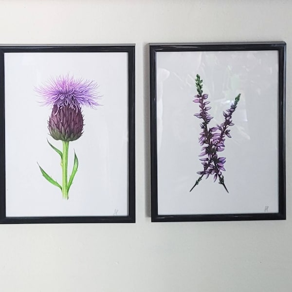 Scottish Ling Heather - Fine Art Print - Etsy