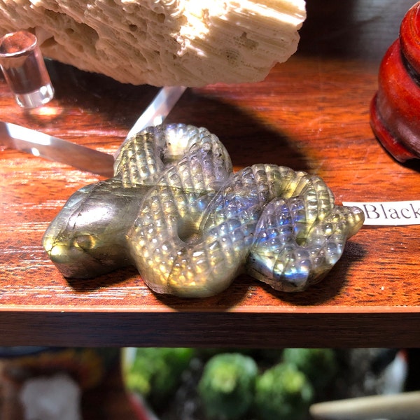 Chlorite Scenic Garden Quartz Polished Crystal Shaped Point Brazil ...