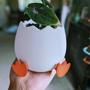 Boho Wavy Plant Pot 4, 5, 6, 7 Tall Clear Pot Perfect Fit Unique ...