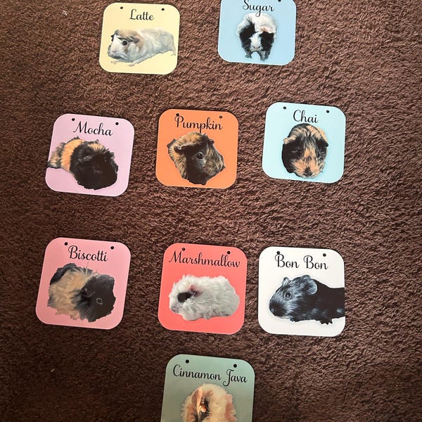 Guinea Pig Name Tag, Guinea Pig Accessories, Pet Tag, Guinea Pig ...