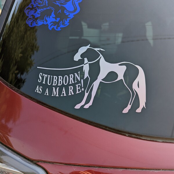 Paint War Pony Decal "stubborn as a Mare!" - Equine, Horse Vinyl Decal ...
