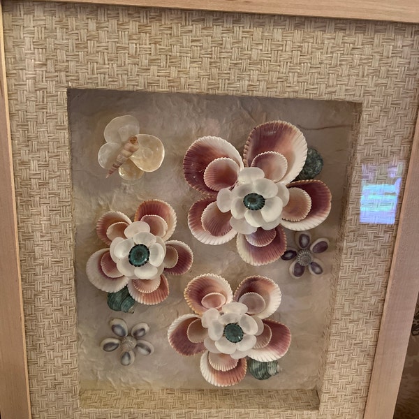 Mini Seashells Shadowbox Display Nautical or Coastal Decor - Etsy
