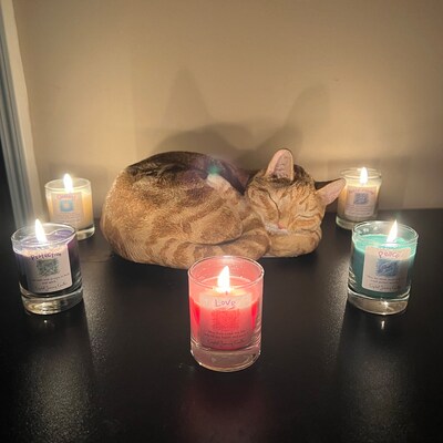 Cat Urn With Personalization cremation Pet Urn tabby Cat Funeral Statue ...