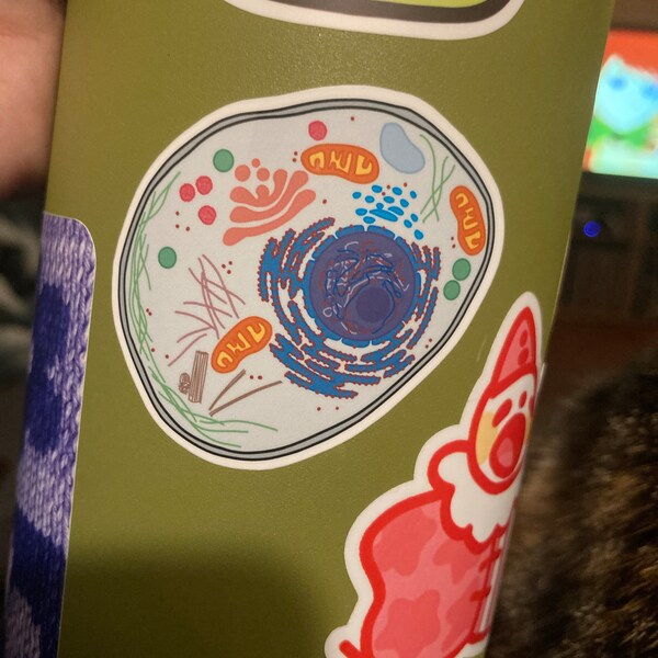 Eukaryotic Cell Sticker Biology Science Sticker Science Nerd Holiday ...