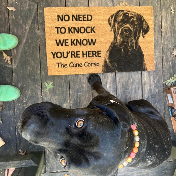 The German Shepherds Door Mat, We Know You ARE Here Shepherd Dogs Door ...