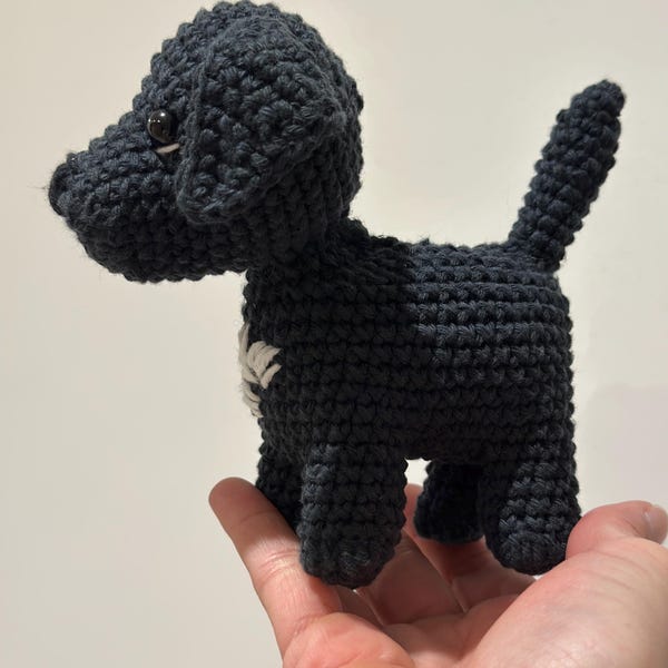 No Sew Chunky Lion Amigurumi Crochet Pattern - Etsy