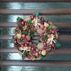 Dried Conkers Conkers in Shells dried Natural Conkers | Etsy