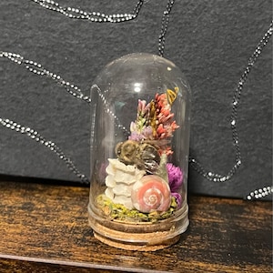 Miniature Specimen Diorama Terrarium - Etsy