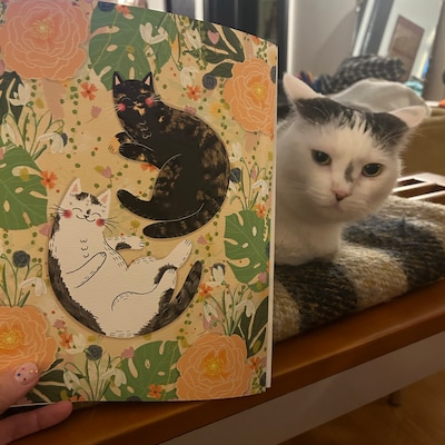 Cat Lover Art / Cat Print Wall Art / Cat Art - Etsy