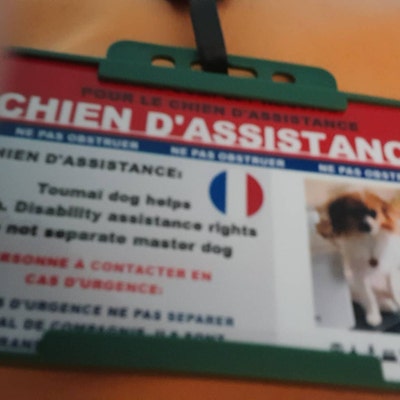 Customized Plastic ID Card Staff Badges, Membership Cards, Loyalty Card ...