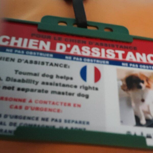 Spacex Cosplay ID Card Authentic Replica for Space Enthusiasts - Etsy